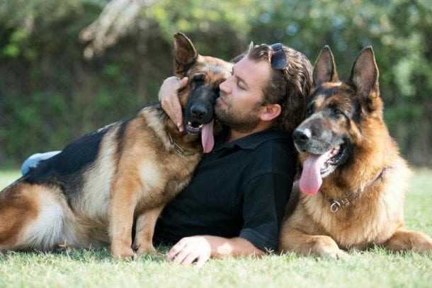 Calm Owner, Calm Dog – 4 Tips to Reduce Stress and Anxiety | German ...