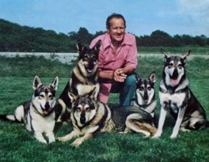 The Littlest Hobo TV Series — A Canadian Childhood Favorite | German ...