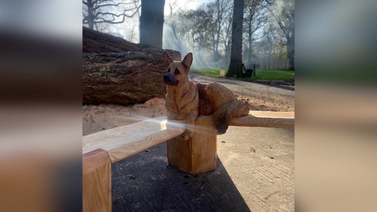 Awesome German Shepherd Carvings | German Shepherd Country