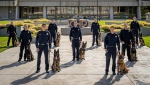 Nine New K9 Officers Ready for Duty in California | German Shepherd Country